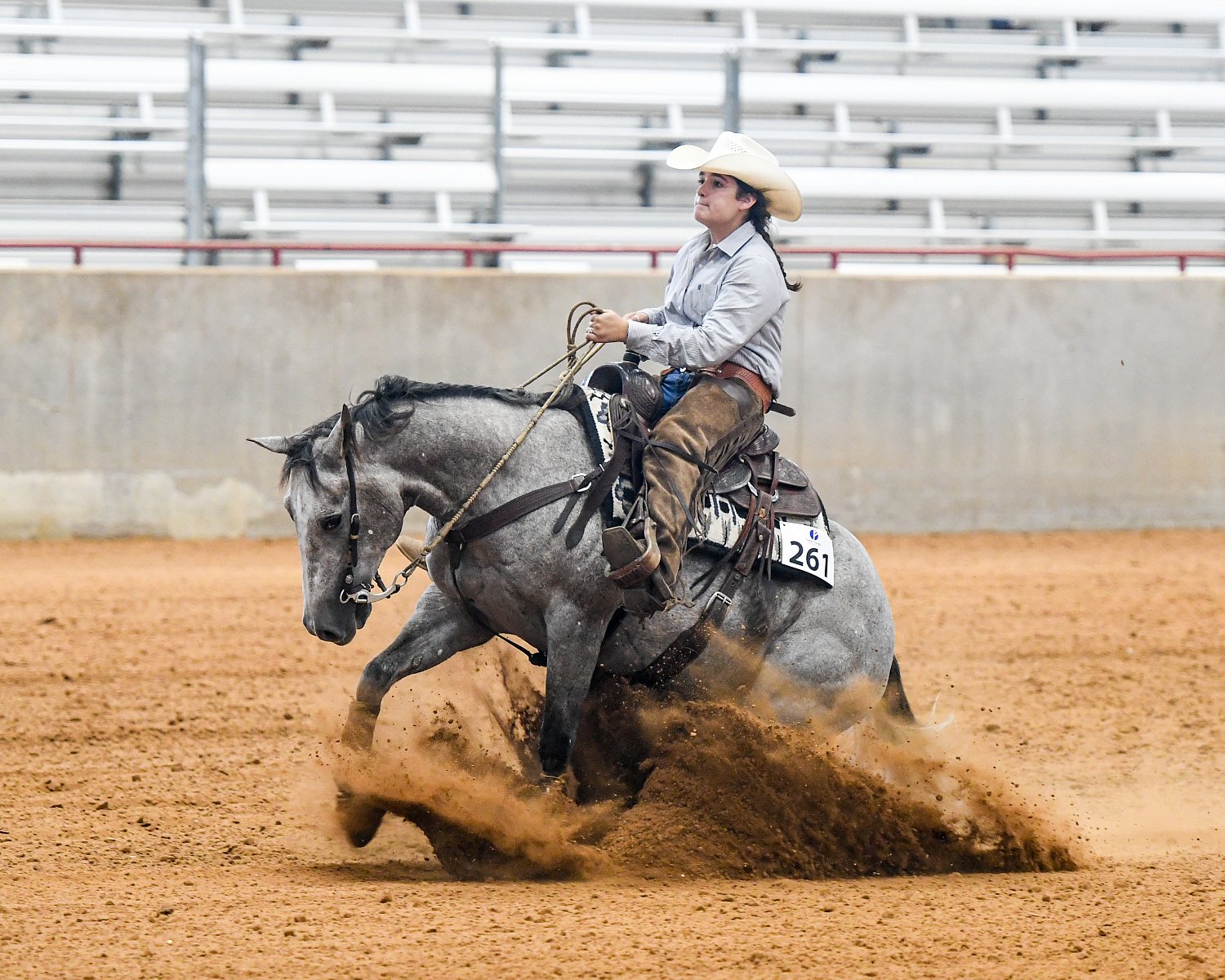 Horse Show Proofs - 2019 - High Cotton Promotions