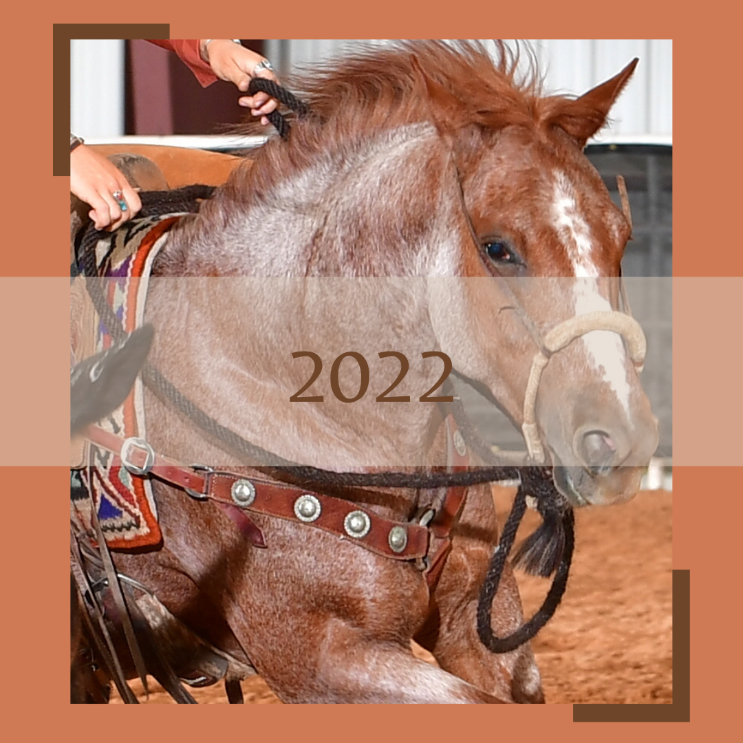 Horse Show Proofs - 2022 - High Cotton Promotions