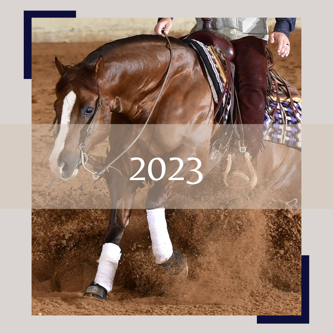 Horse Show Proofs - 2023 - High Cotton Promotions