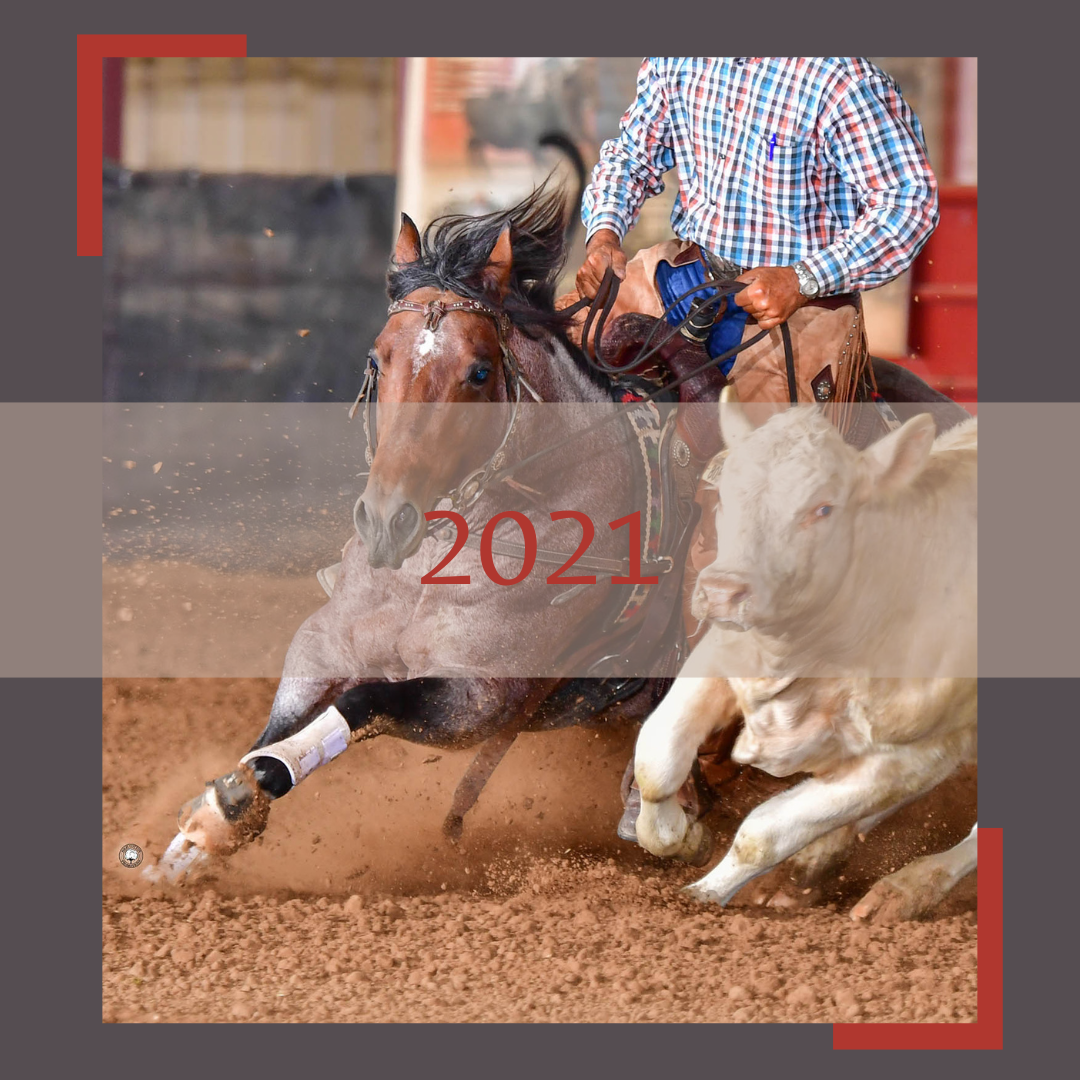 Horse Show Proofs - 2021 - High Cotton Promotions