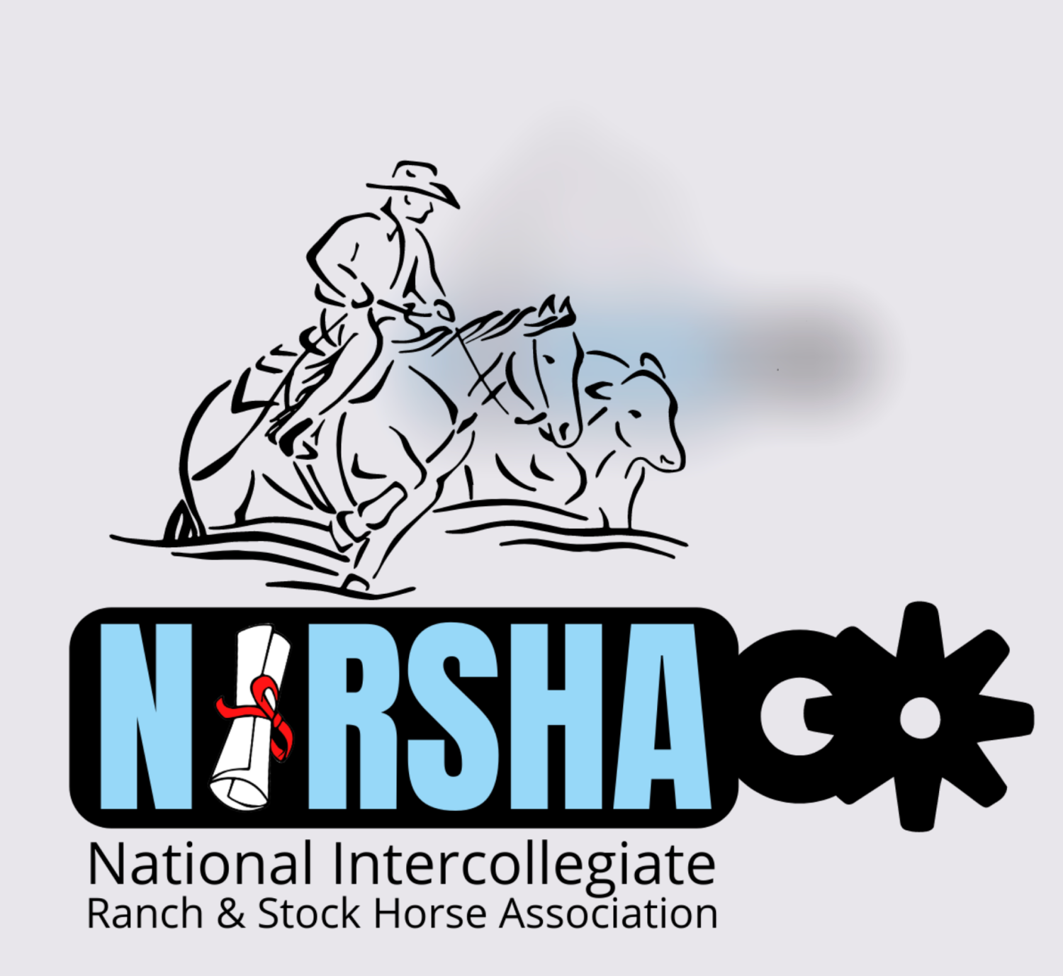 NIRSHA Championship Show 2025 - Horse Show Proofs - 2025 - High Cotton ...